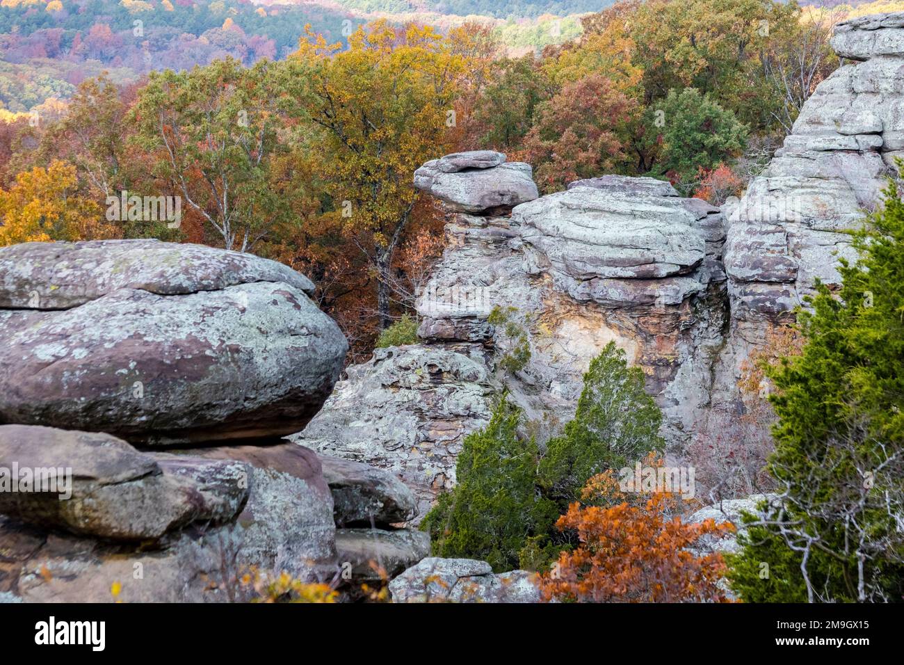 63895-16119 Camel Rock in fall color Garden of the Gods Recreation Area ...