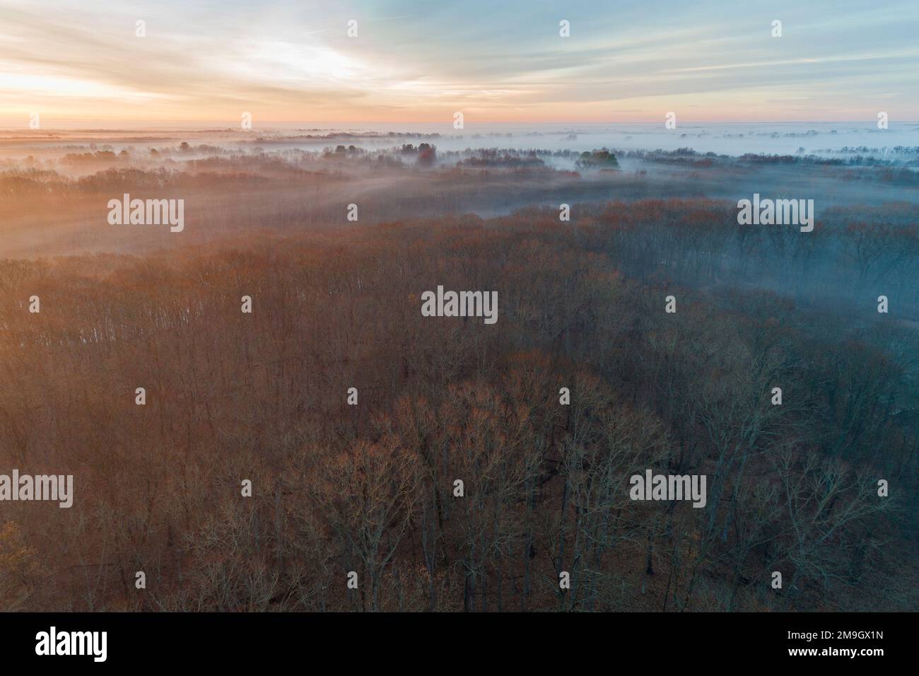 63895-16909 Sunrise and fog Stephen A. Forbes State Park-aerial-Marion ...