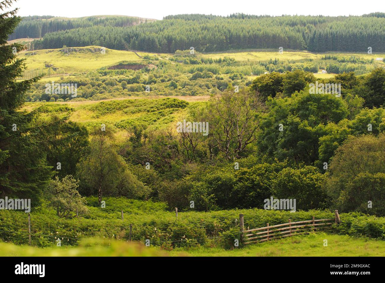 View looking across Glen Aros from north to south across to evergreen ...
