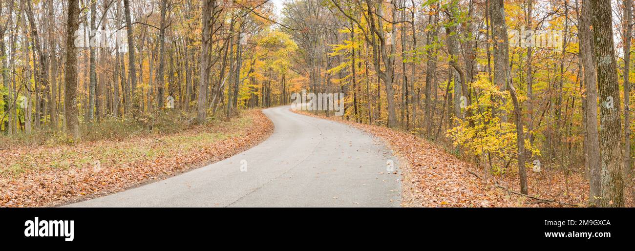 Autumn color in brown county state park hi-res stock photography and ...