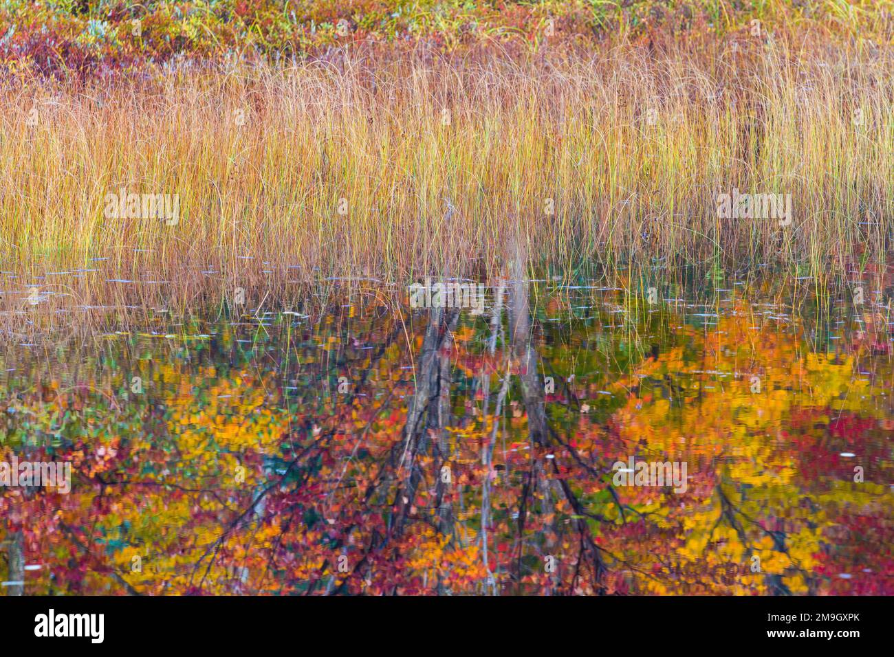 Alger county upper peninsula hi-res stock photography and images - Alamy