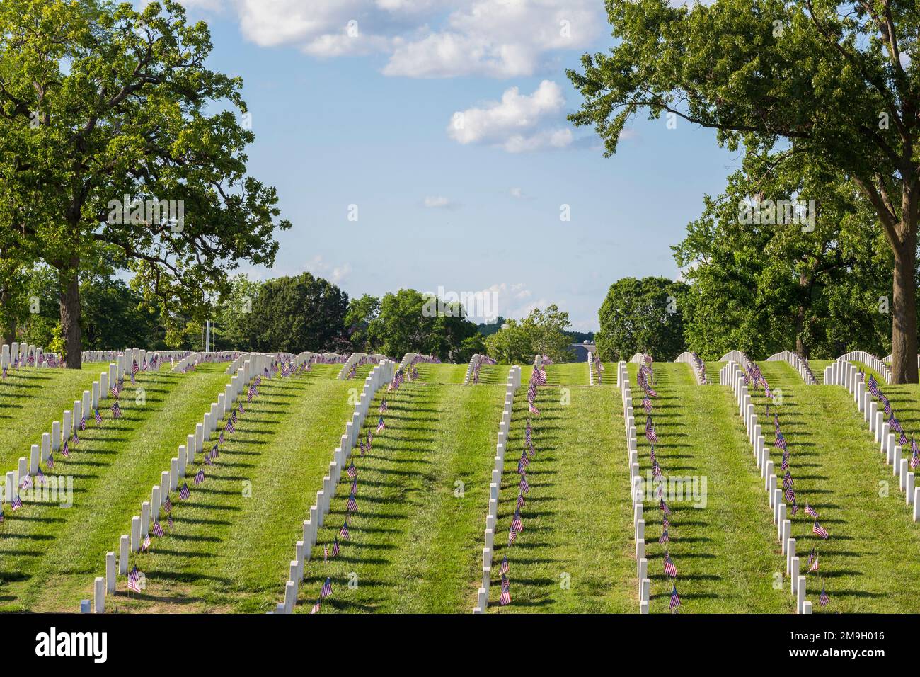 65095-02801 Gravestones at Jefferson Barracks National Cemetery St ...