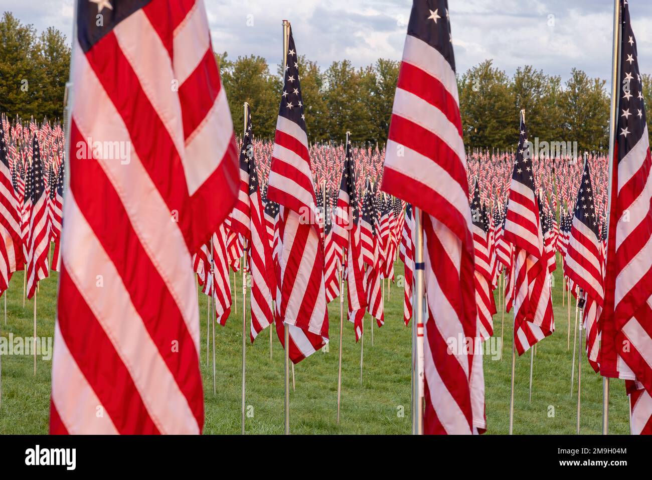 65095-03220 Flags of Valor display on Art Hill by St. Louis Art Museum ...