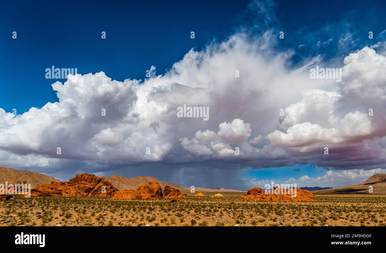 Landscape with desert under blue sky and clouds, Valley of Fire State ...