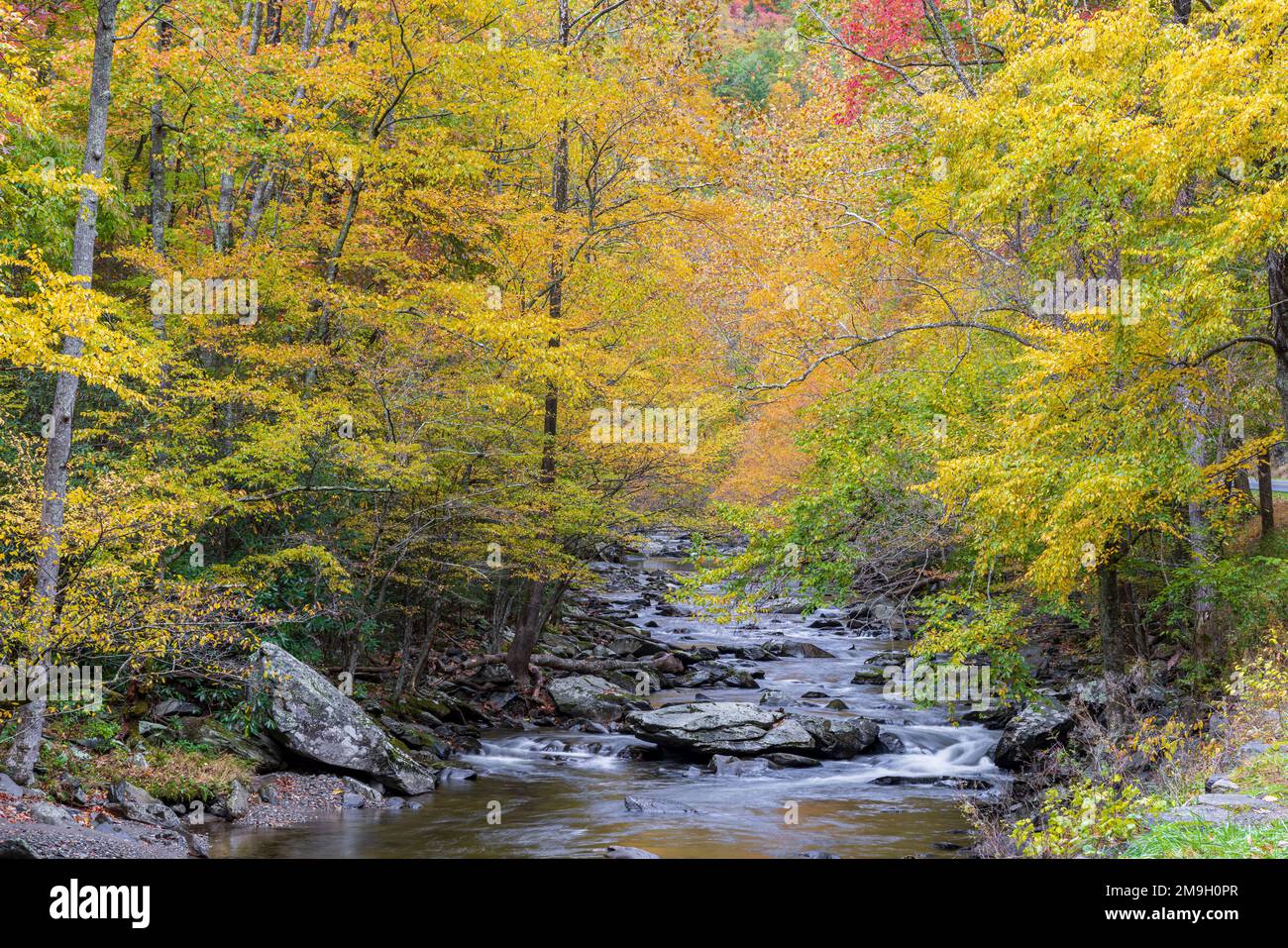 66745 hi-res stock photography and images - Alamy