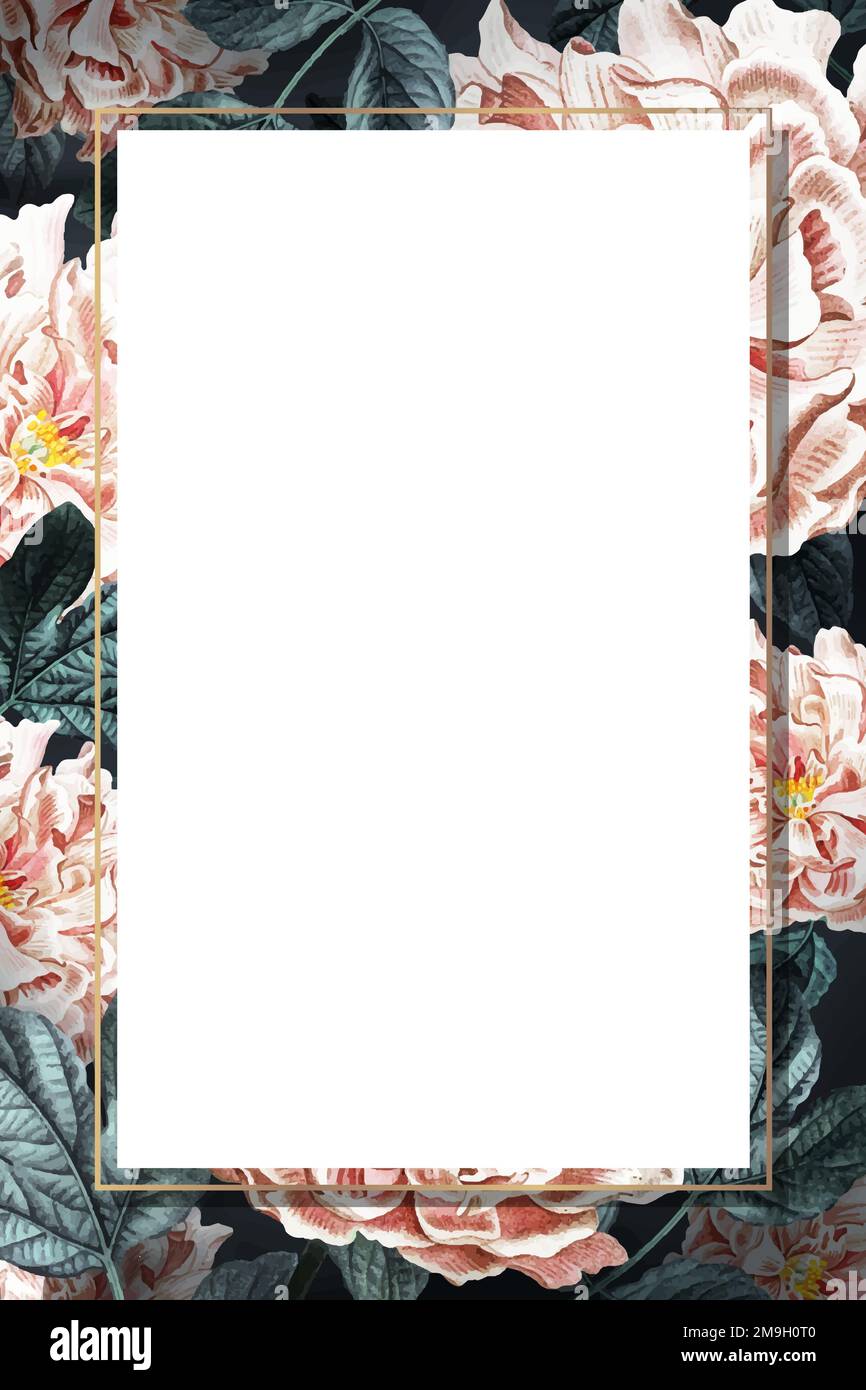 Peony frame hi-res stock photography and images - Alamy