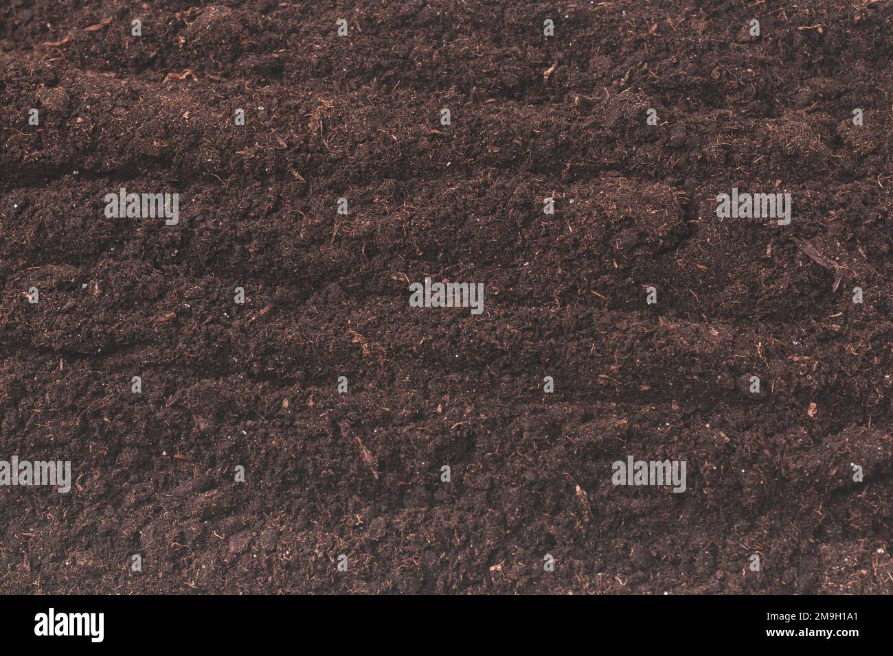 Soil for plant isolated on white background. Soil pattern Stock Photo ...