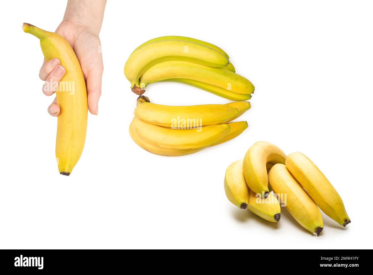 A bunch of bananas in woman hand isolated on a white background Stock ...