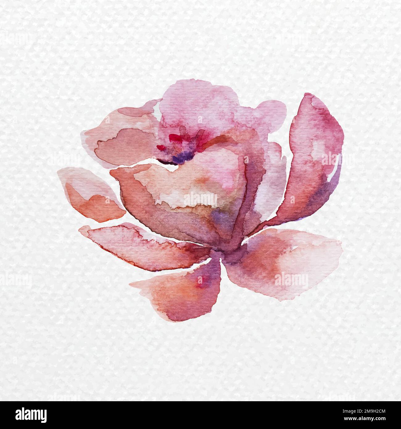 Watercolor flower design element vector Stock Vector Image & Art - Alamy