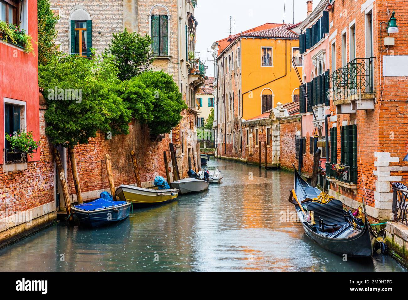 Venice canal and traditional colorful Venetian houses view. Classical ...