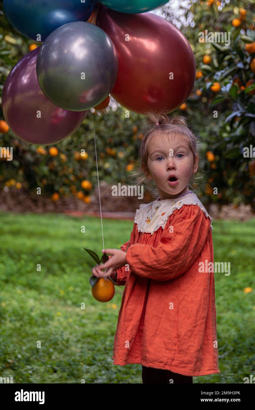 Beautiful Girl in the Orange Garden and ripe oranges on the branches of ...