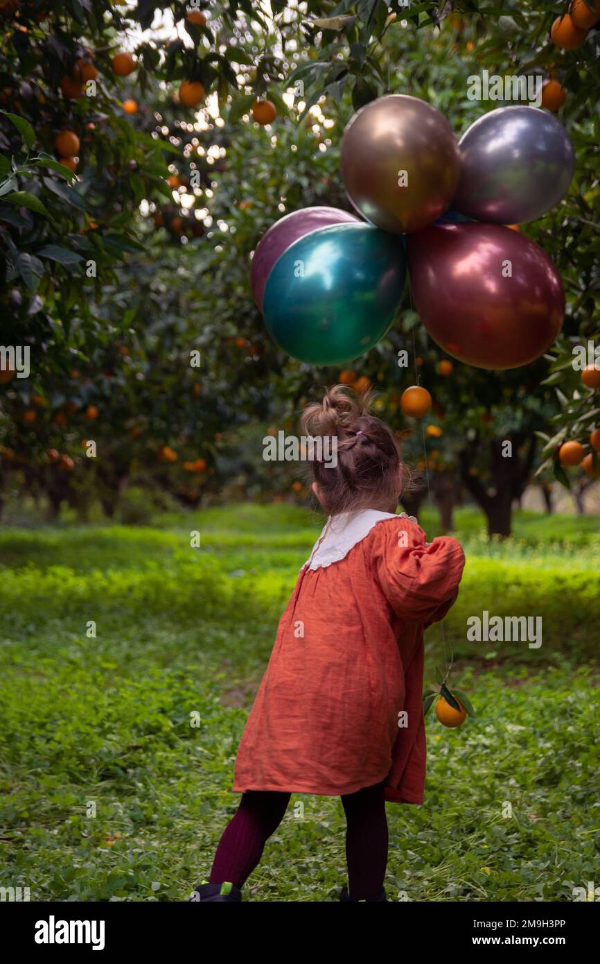 Beautiful Girl in the Orange Garden and ripe oranges on the branches of ...