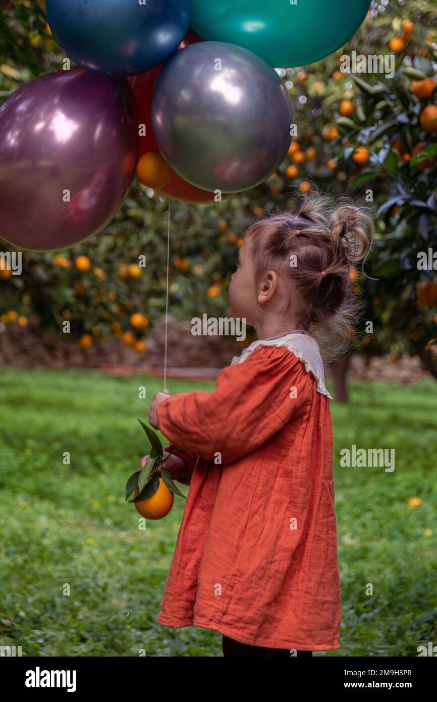 Beautiful Girl in the Orange Garden and ripe oranges on the branches of ...