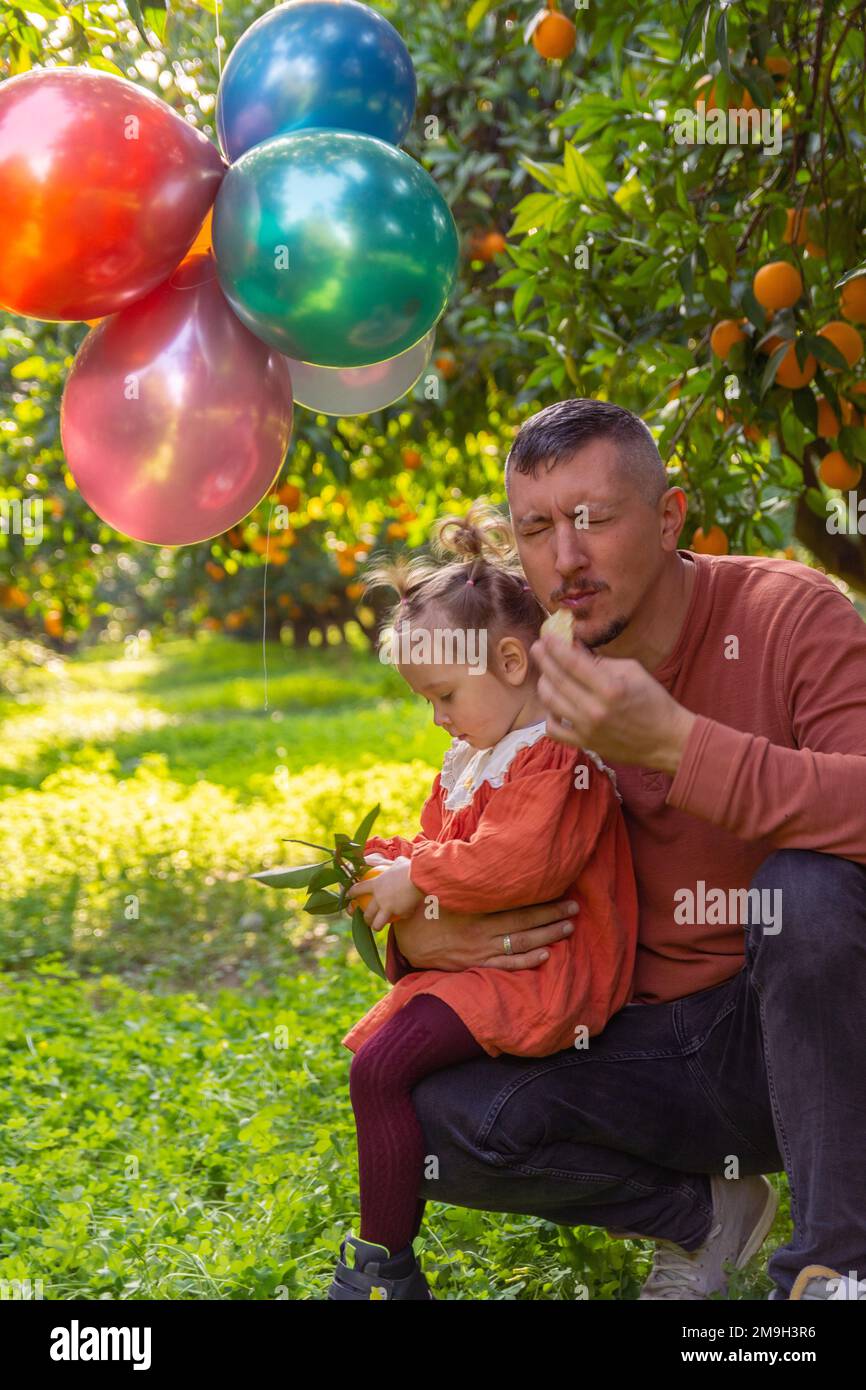 Beautiful dad and daughter in the Orange Garden and ripe oranges on the ...