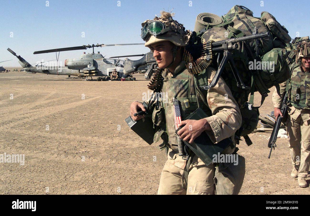 Marine Infantry In Combat