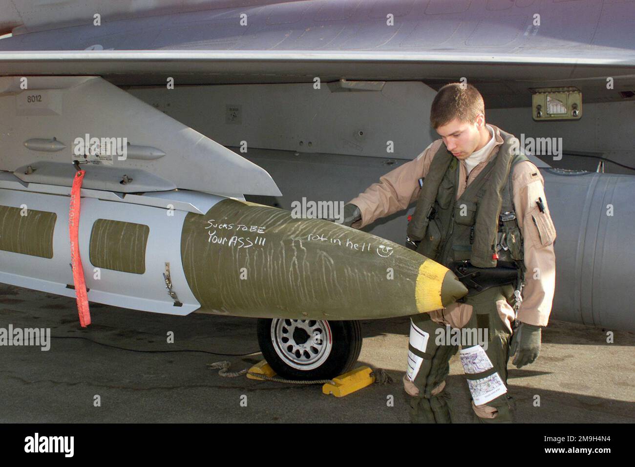 Fighter Pilot First Lieutenant (1LT) Dave "A-Bee" DeAngelis, performs a ...