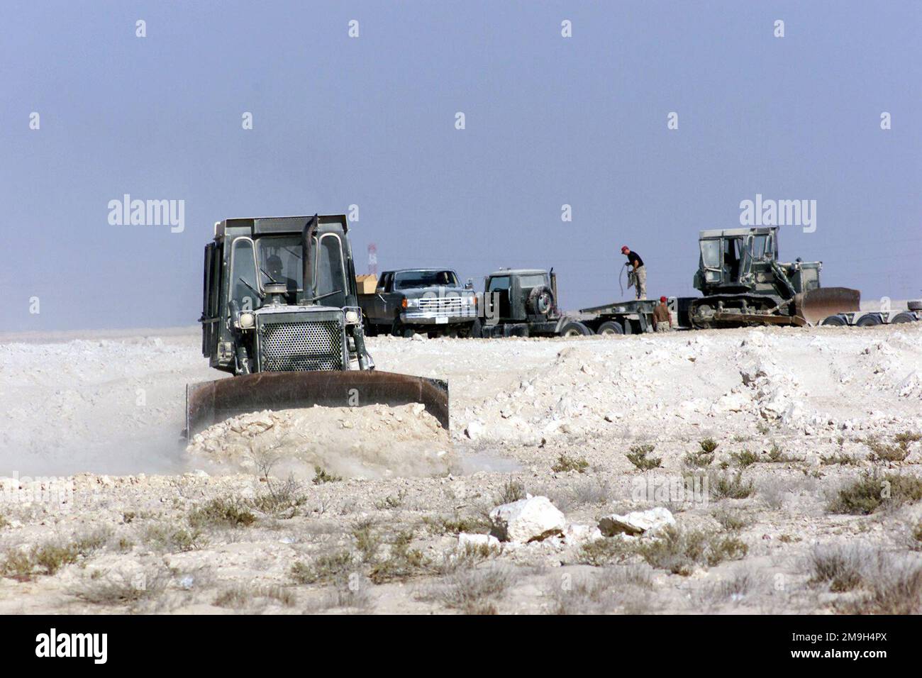 Ces horse hi-res stock photography and images - Alamy