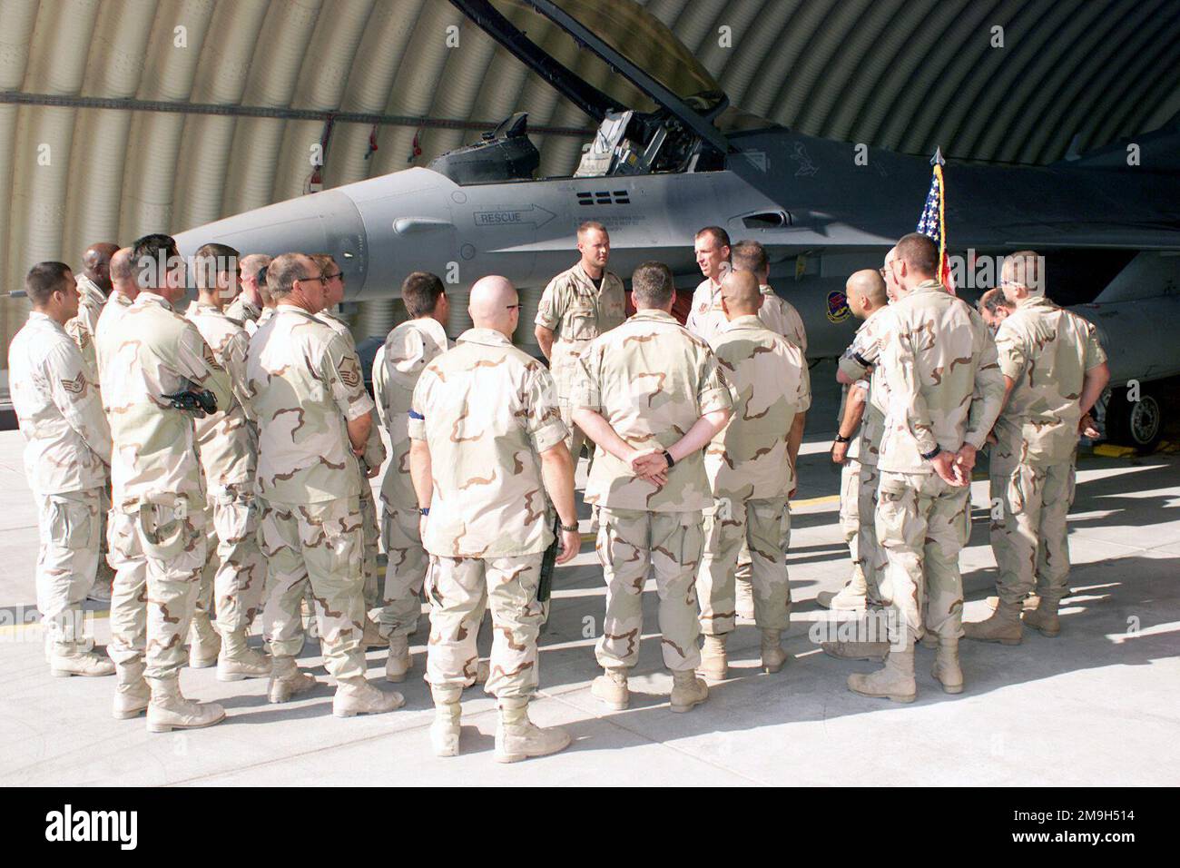 Commander of the 366th Air Expeditionary Group (AEG), Colonel (COL ...