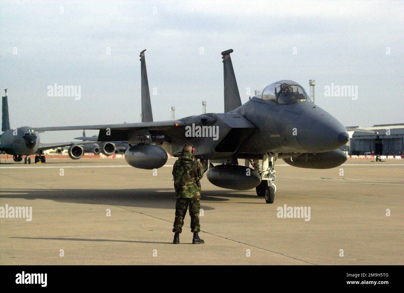 A ground crew member faces a United States Air Force F-15C Eagle ...