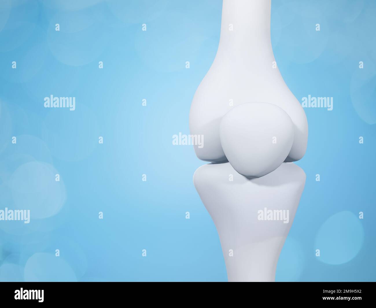 Knee joint on blue background with copy space for text. Bone human ...