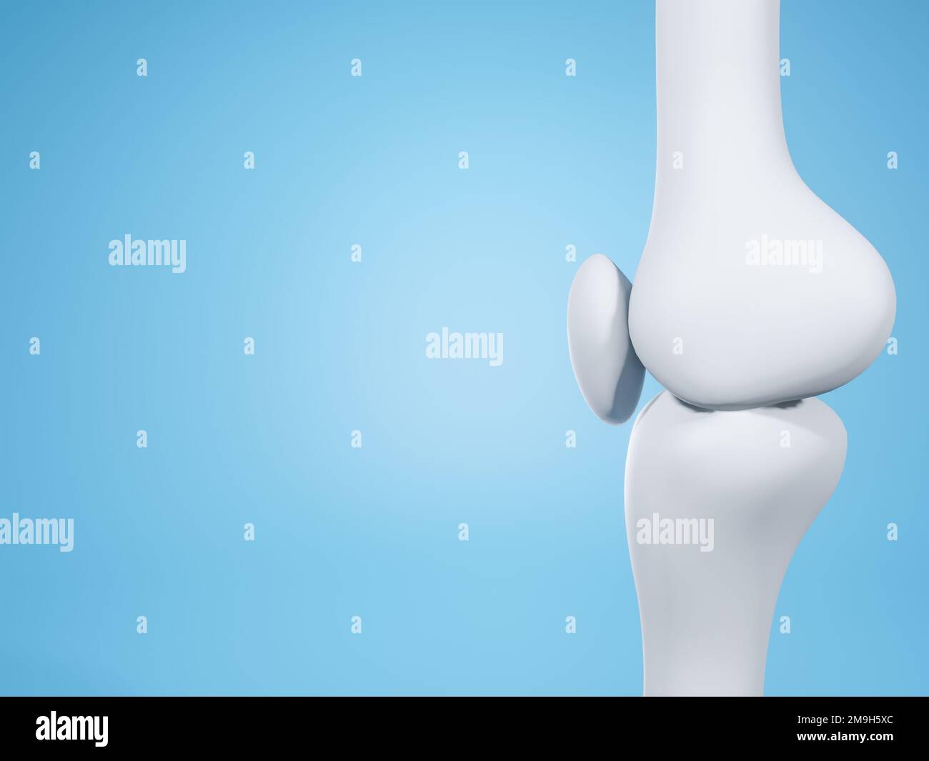 Knee joint on blue background with copy space for text. Bone human ...