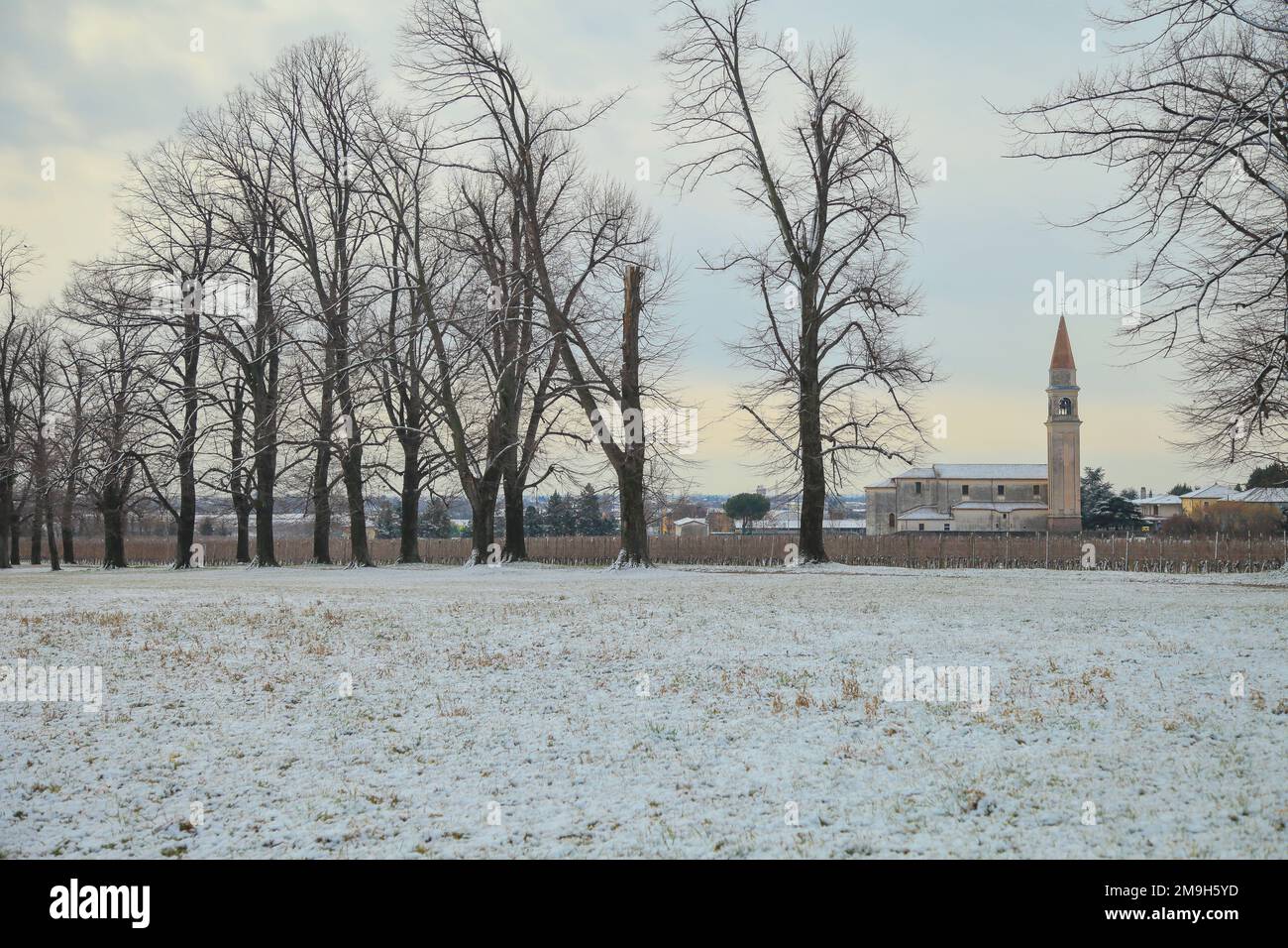 Maser hi-res stock photography and images - Alamy