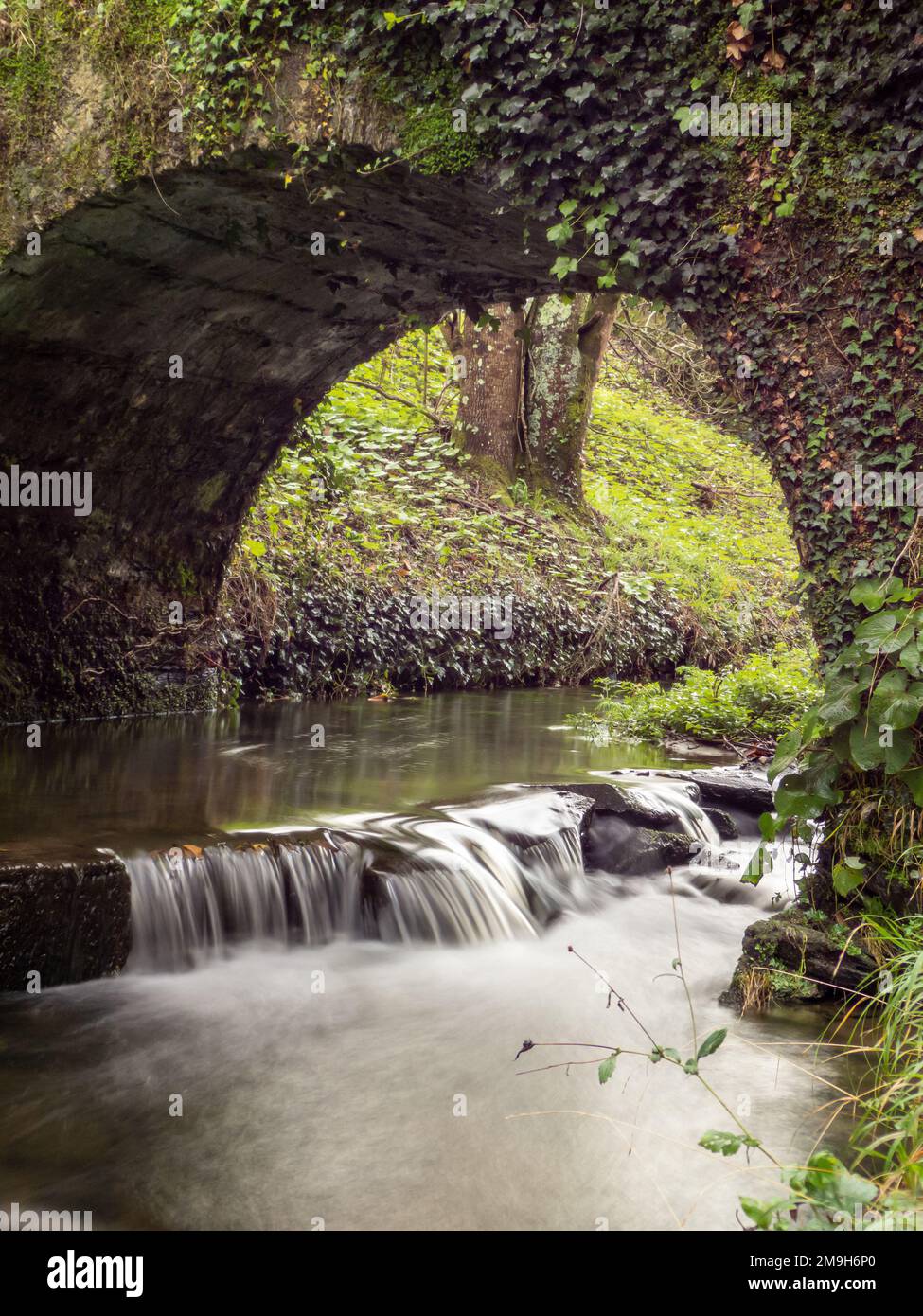 A vertical shot of a small waterfall flowing to a river under the arch ...