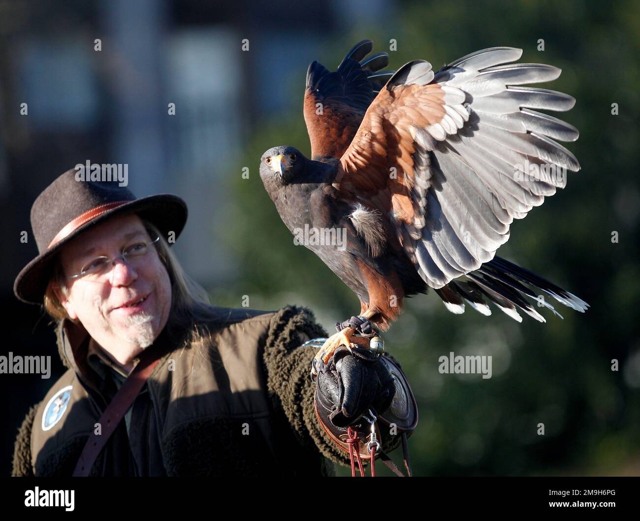 Dortmund, Germany. 18th Jan, 2023. The American desert buzzard "Amy ...