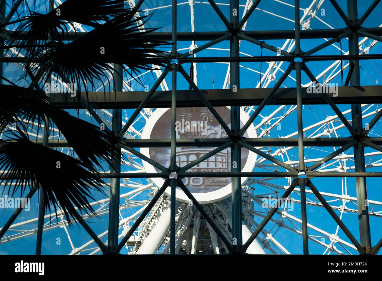 View of Centennial Ferris Wheel, Chicago, Illinois, USA Stock Photo - Alamy