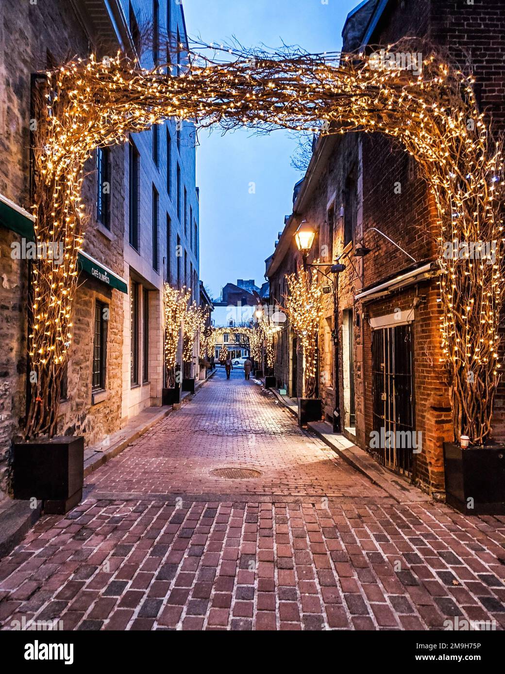 A vertical shot of an old alley with brick buildings decorated with ...