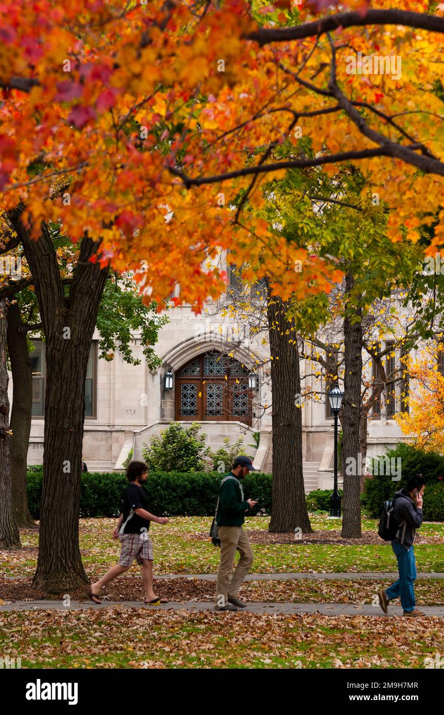 Students walking under autumn colored leaves in front of University of ...
