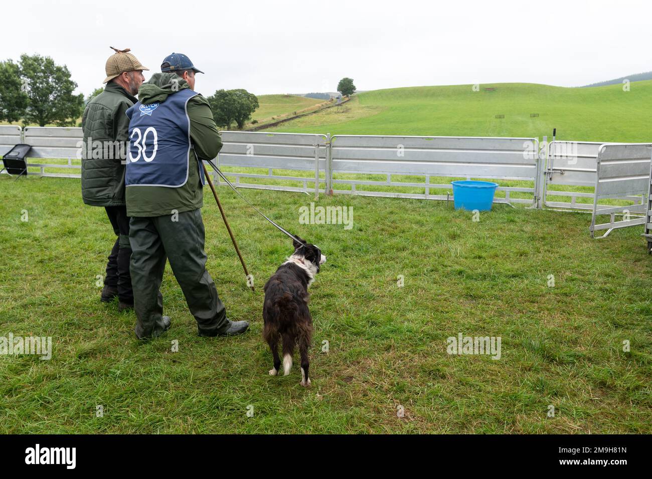Scottish National Sheepdog Trials Stock Photo - Alamy
