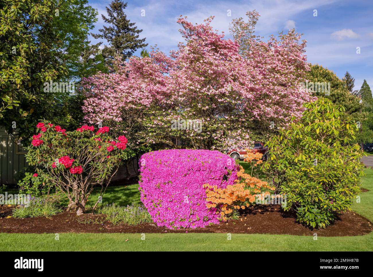 Blooming hi-res stock photography and images - Alamy