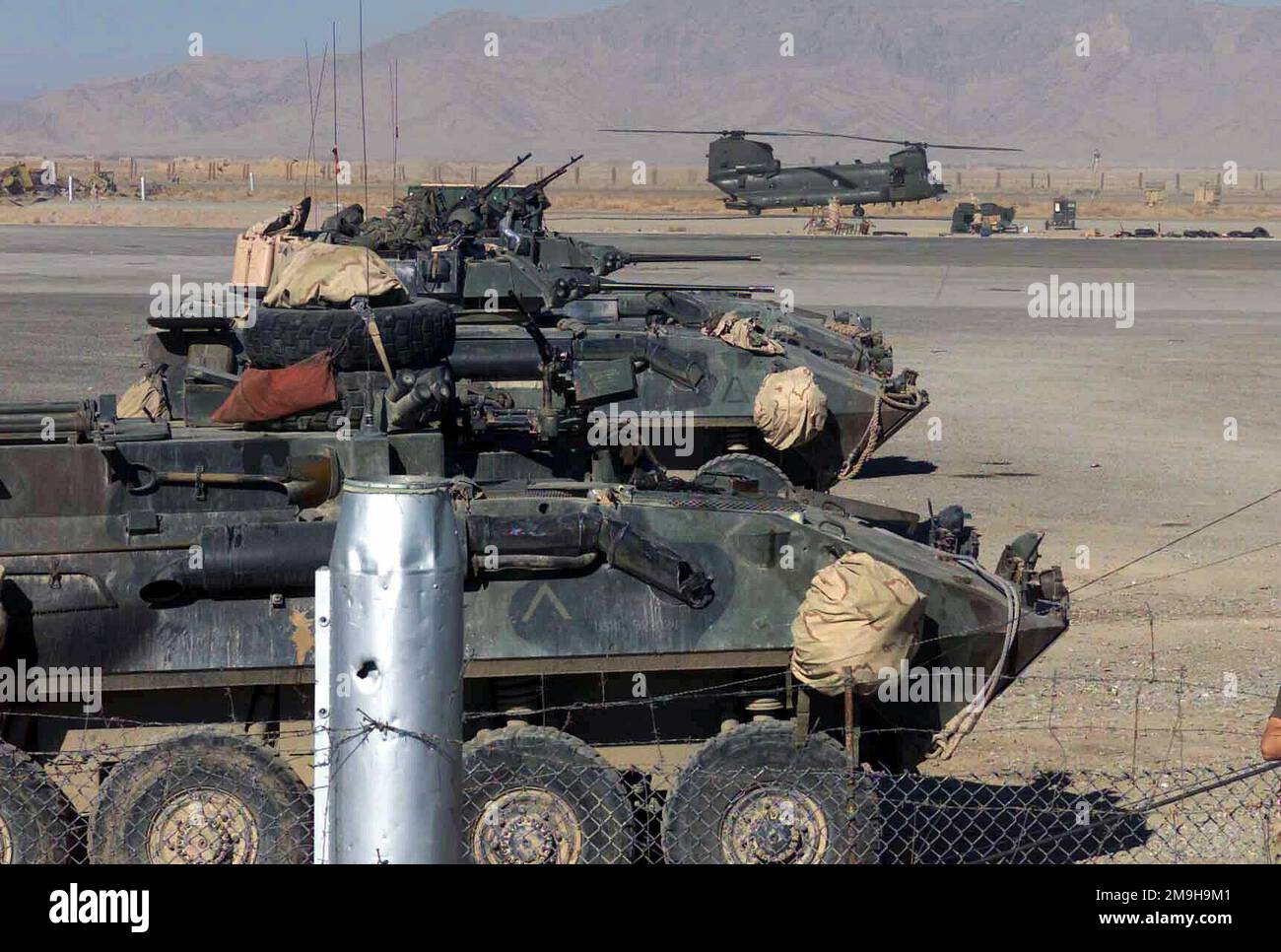 Three Marine LAV-25s (Light Armored Vehicle-25) with the Second Light ...