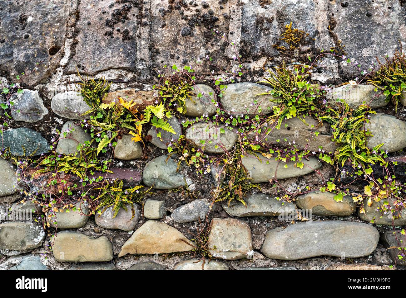 Churchyard Boundary Wall (Grade 2 Listed Stock Photo - Alamy