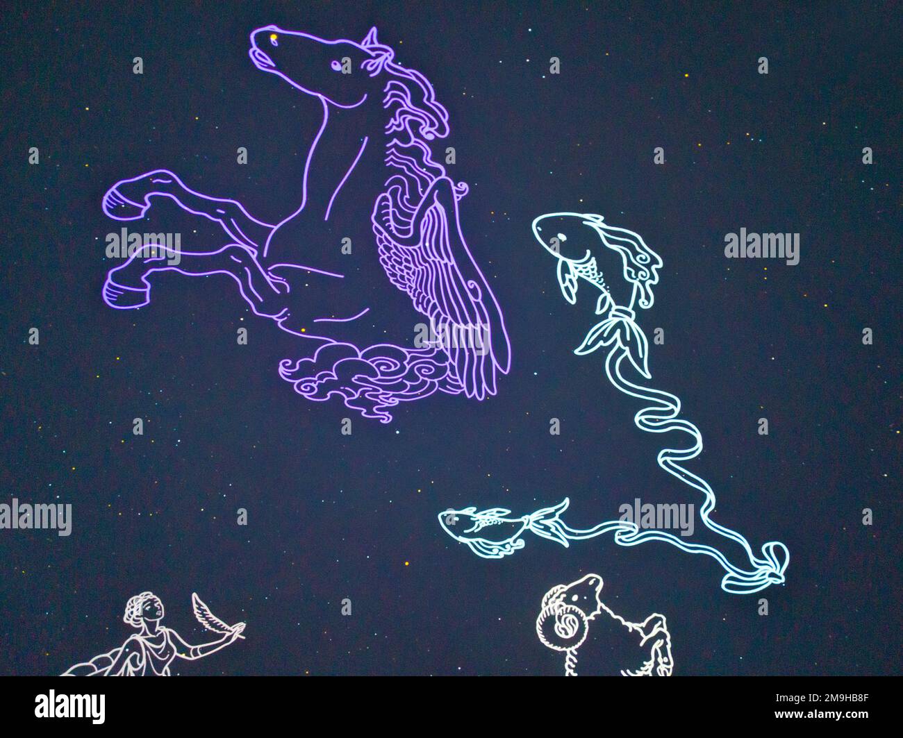 Equuleus Constellation