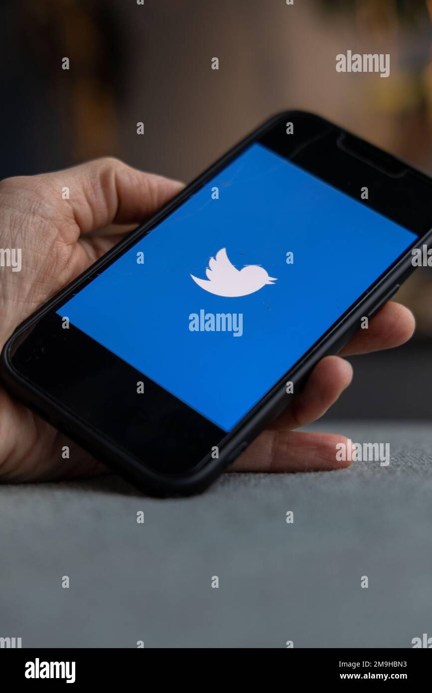 Hand holding a smartphone with Twitter icon on screen. IPhone with a ...