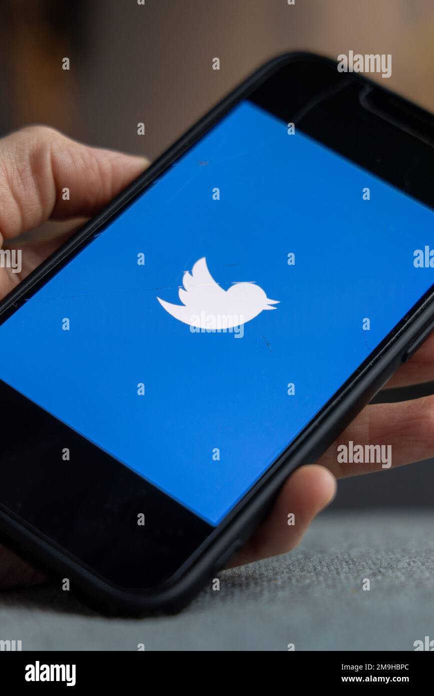 Hand holding a smartphone with Twitter icon on screen. IPhone with a ...