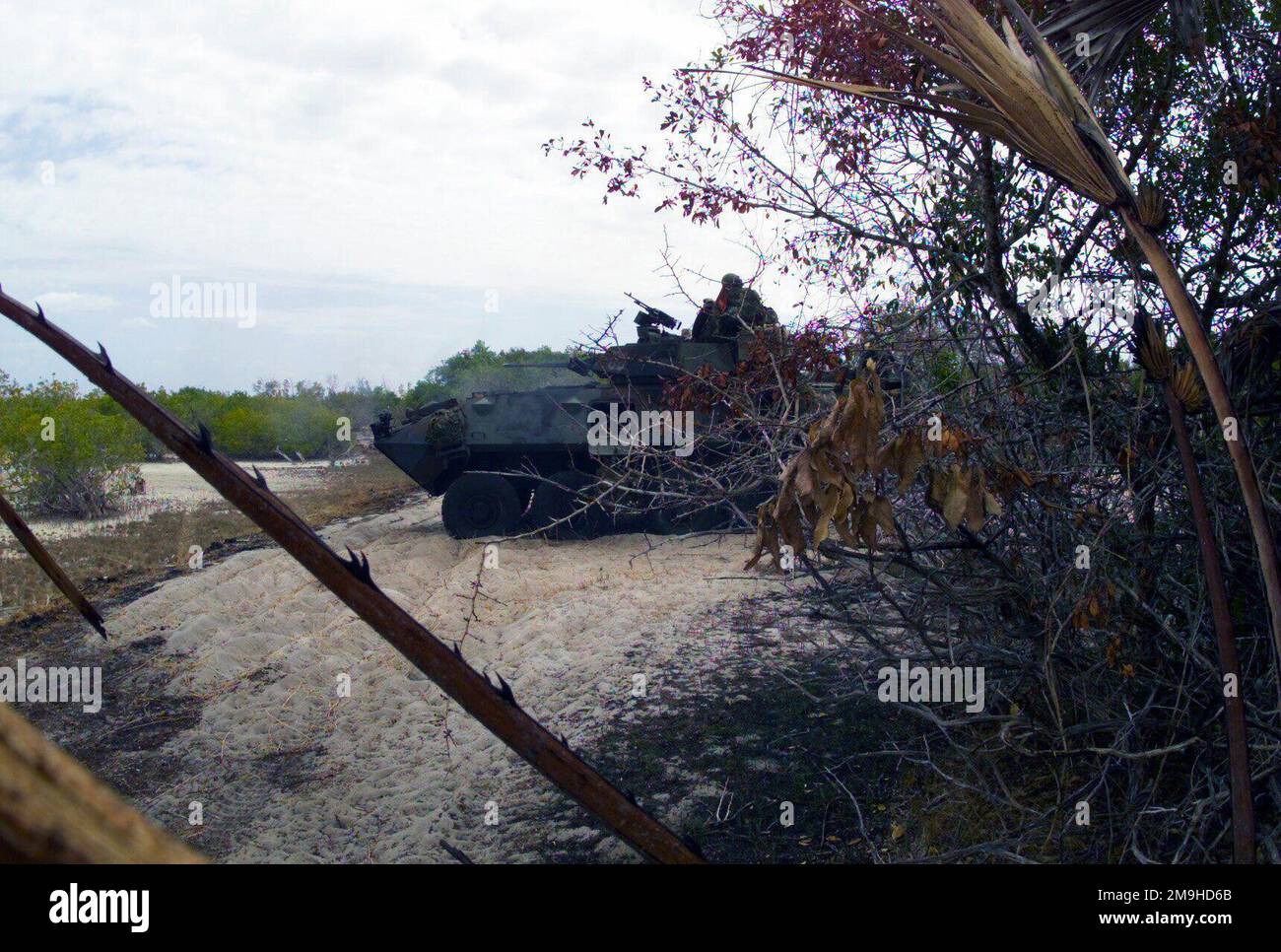 A Light Armored Vehicle-25 (LAV-25) from Charlie Company 1ST Light ...