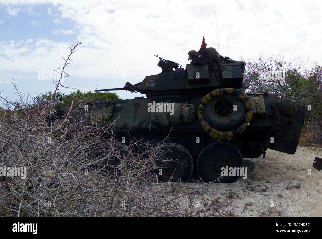 A Light Armored Vehicle-25 (LAV-25) from Charlie Company 1ST Light ...