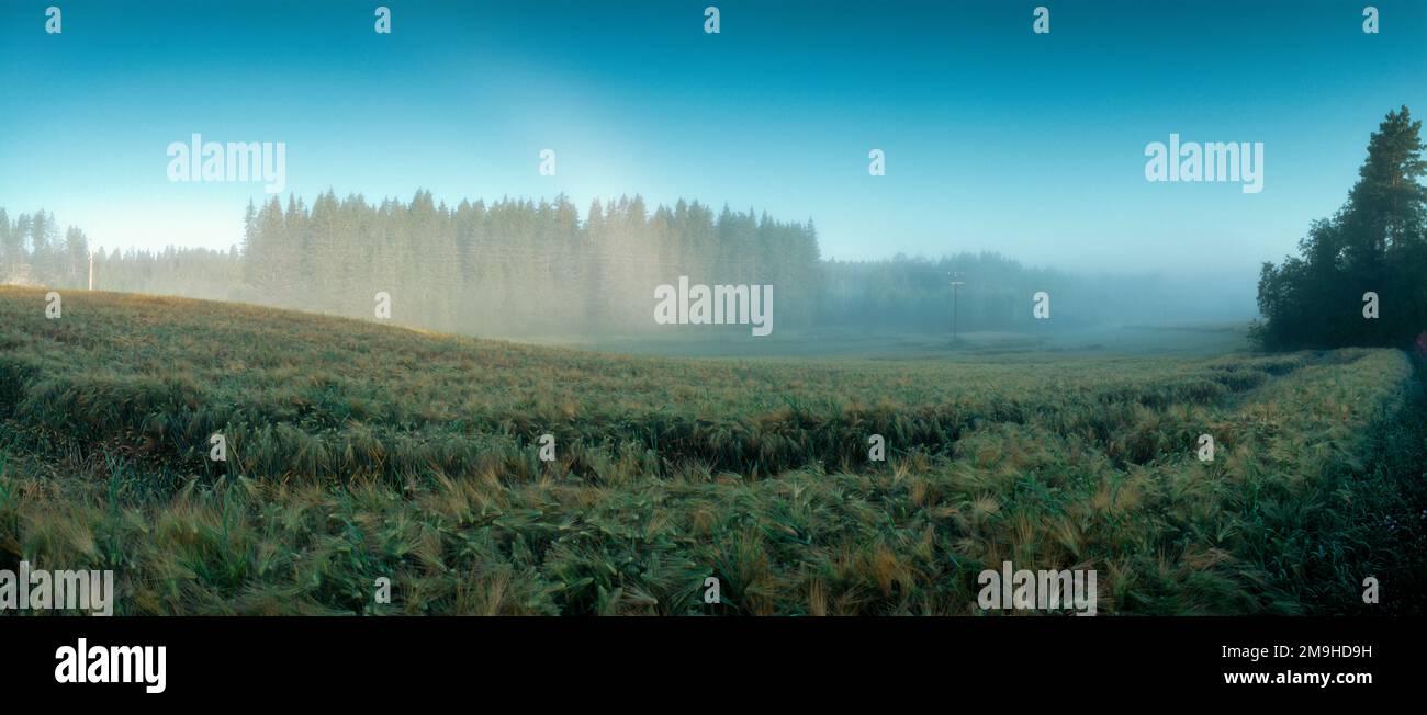 Dawn landscape landscape with nature hi-res stock photography and ...