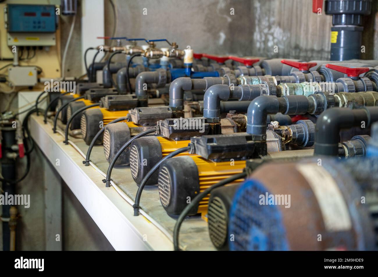 Beef cattle farm outside of Toledo, Spain Stock Photo - Alamy