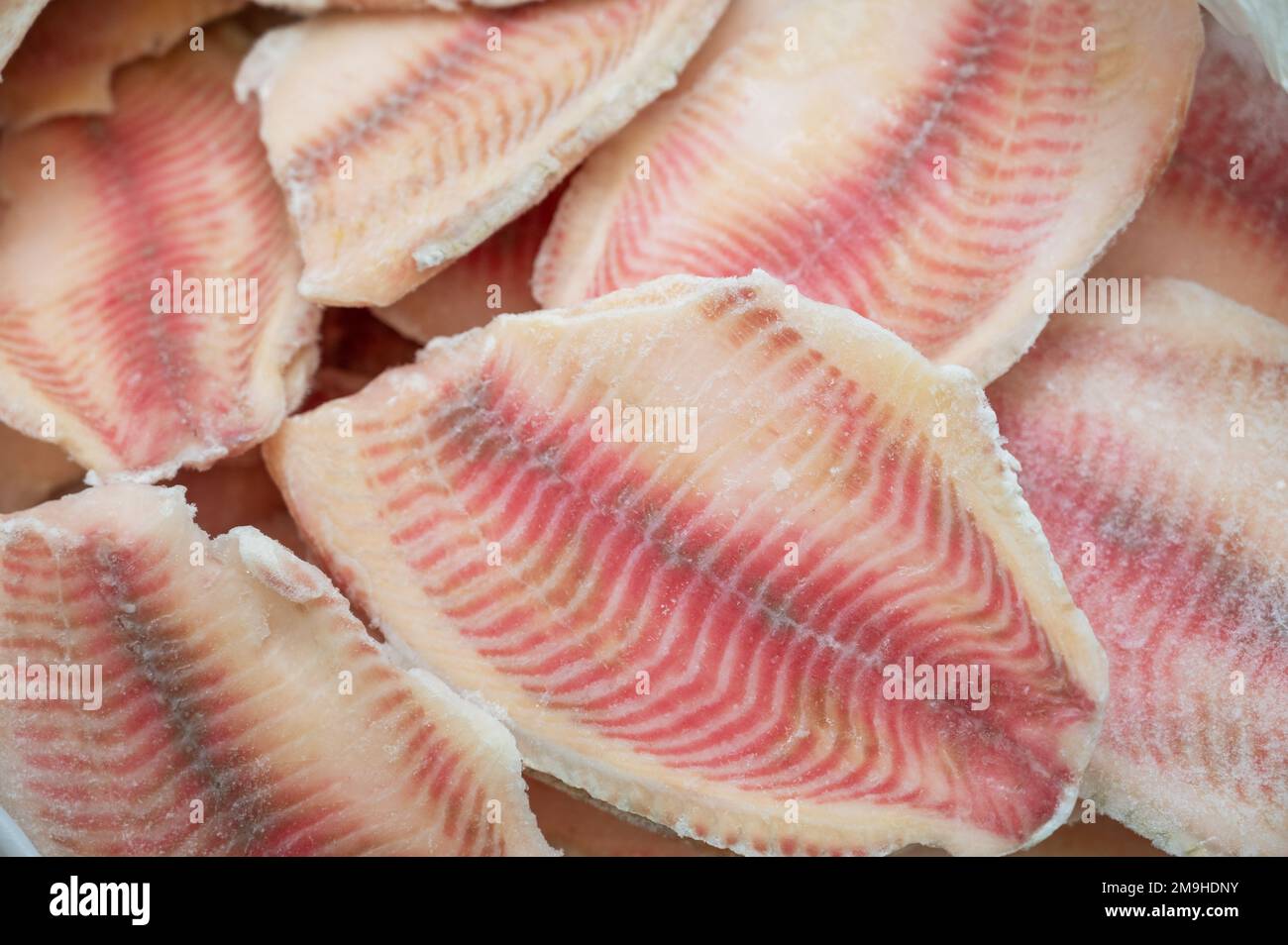 Frozen tilapia fish fillets hi-res stock photography and images - Alamy