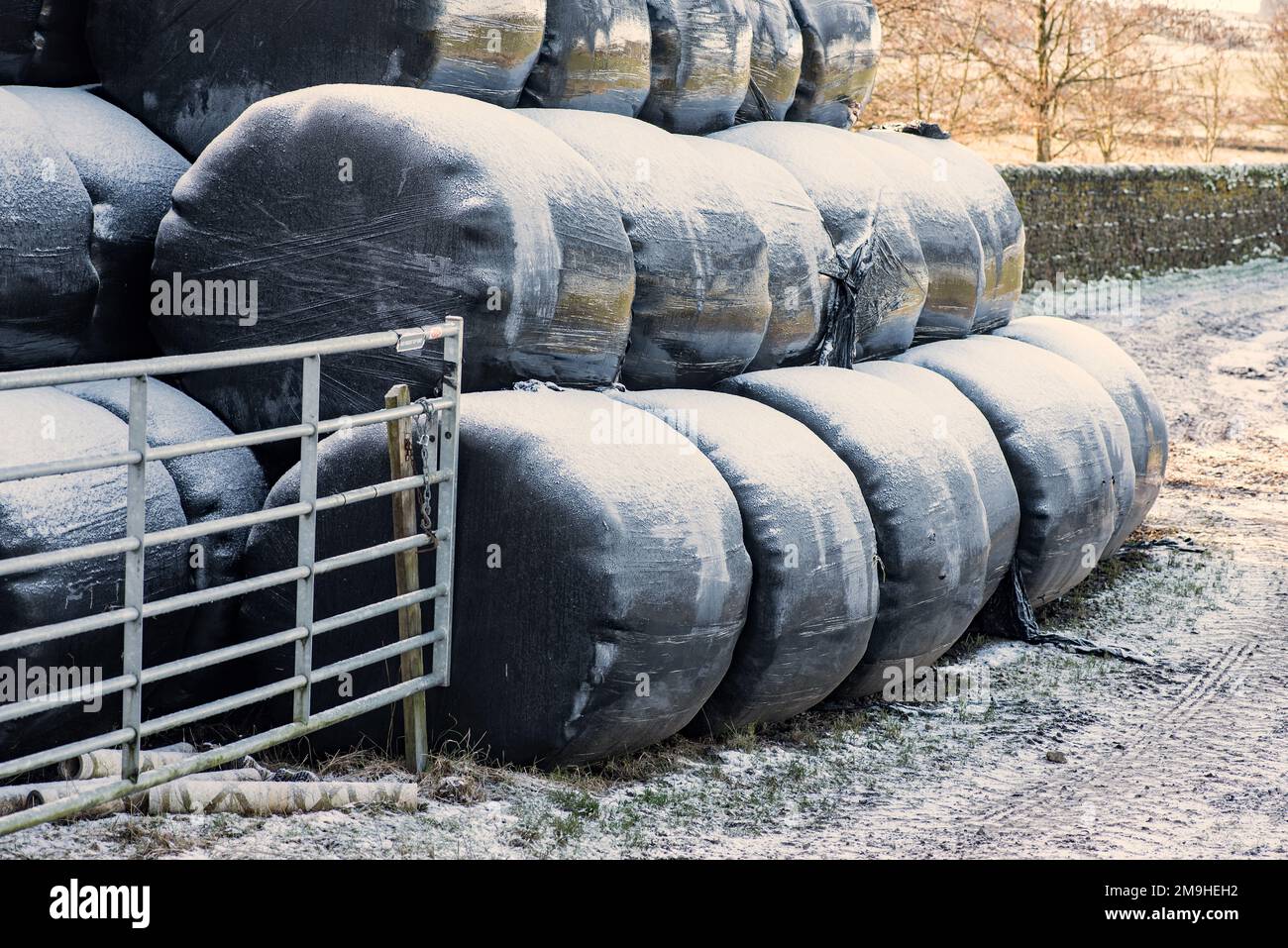 Winter feed held in big bales...... for supplementary feeding in the ...
