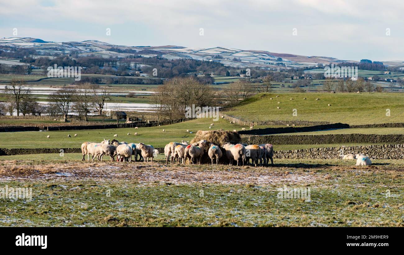 Frozen ground and frozen surface water,(down in Long Preston Deeps ...