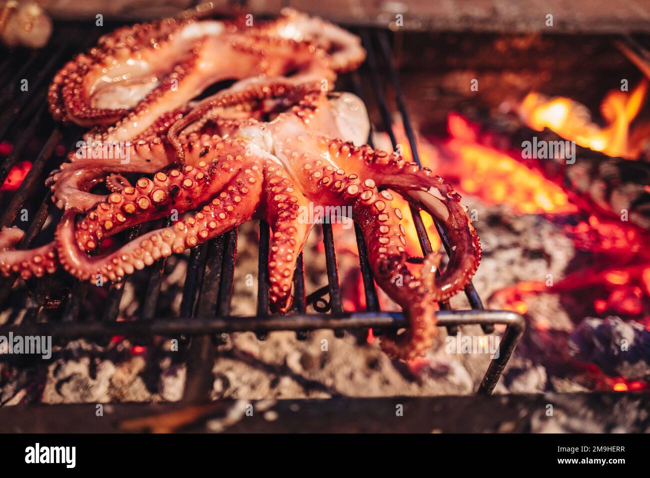 Summer barbecue with octopus in the camping in Puglia Stock Photo - Alamy