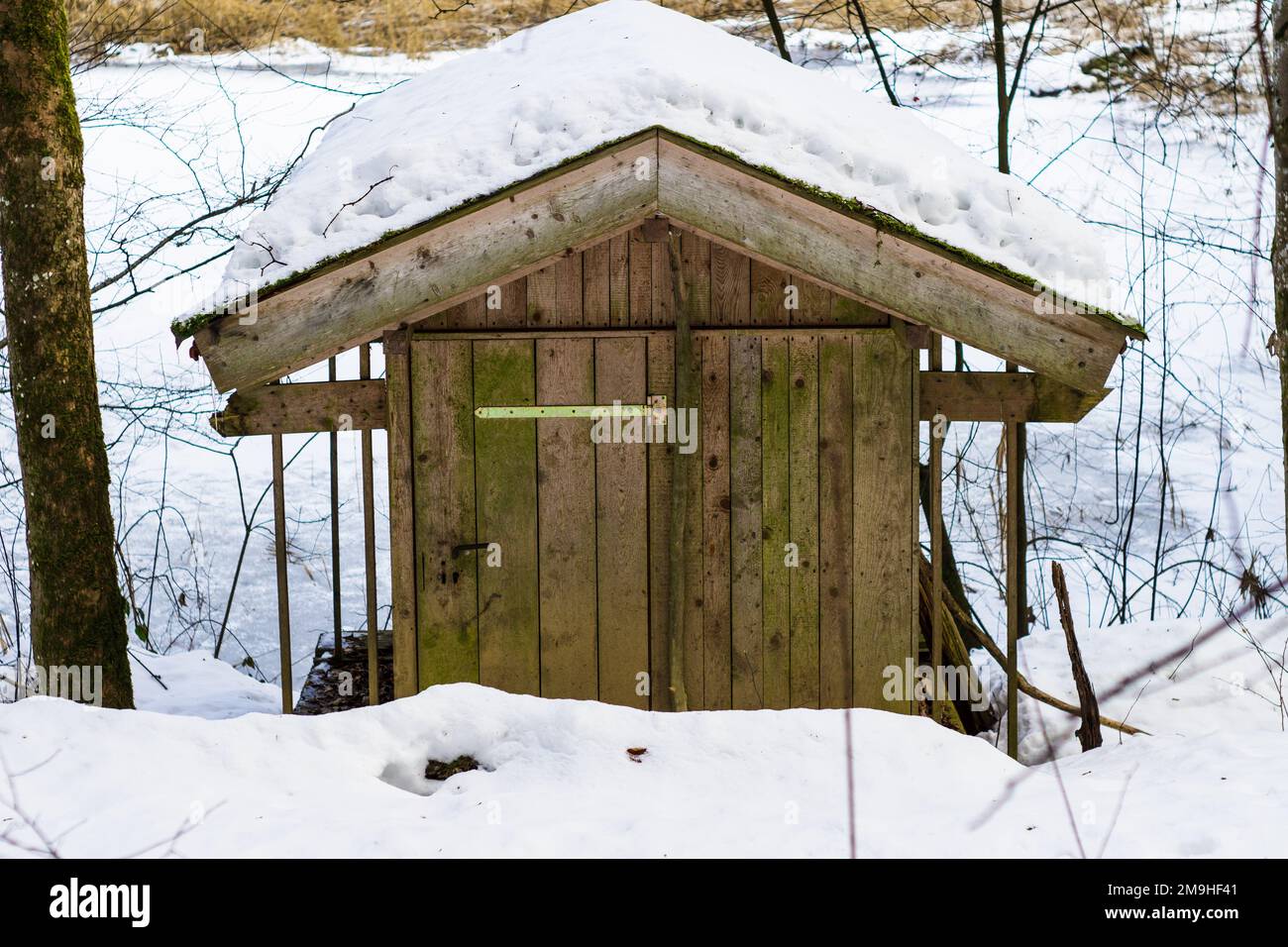 A wooden small house in winter forest with trees blurred around Stock ...