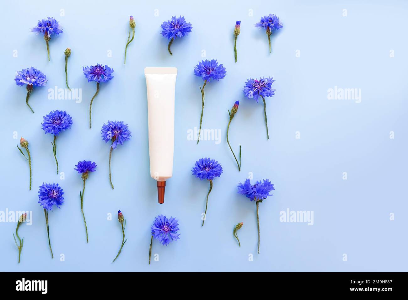 Moisturizer cream squeeze cosmetic tube with long nozzle and cornflower ...