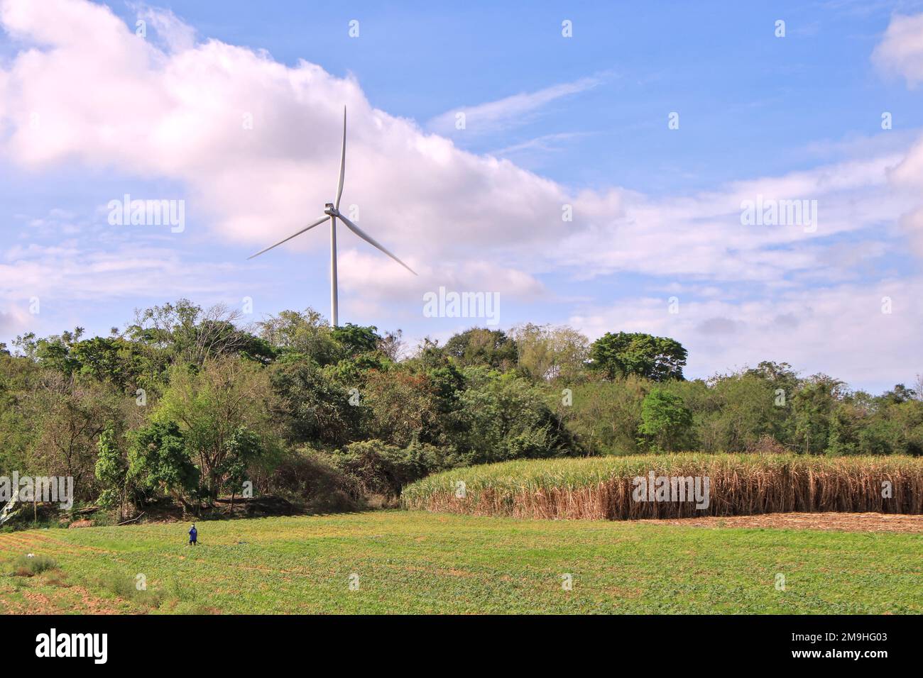 Wind turbine technology for agriculture and the environment It is an ...