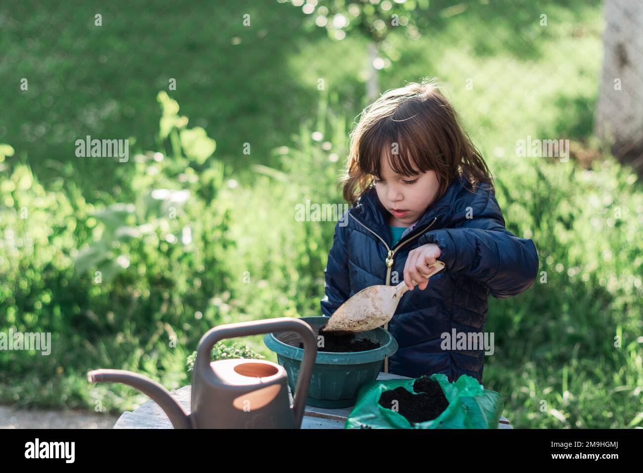 Girl is planting flowers in the yard during spring day Stock Photo - Alamy
